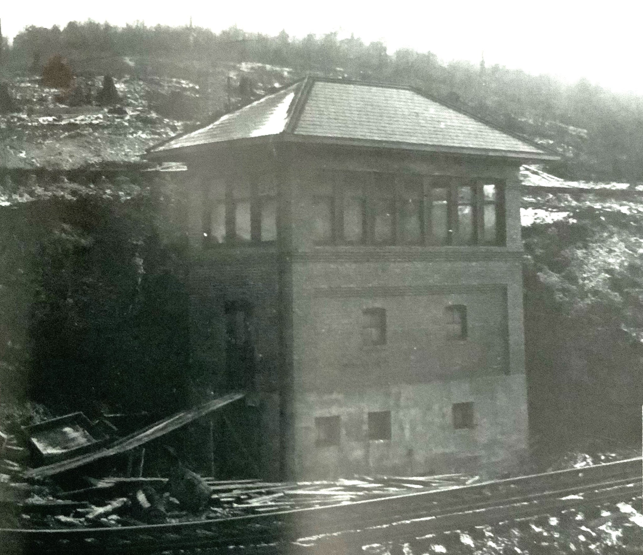 Sandpatch - HO Scale – Leopard Architectural Models